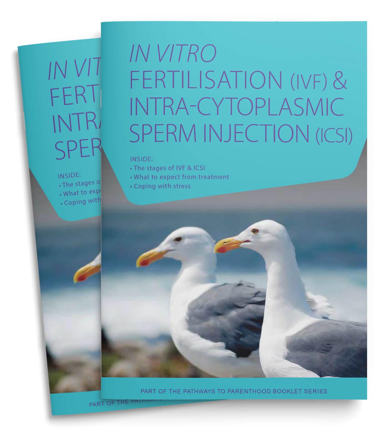 In Vitro Fertilisation (IVF) & Intra-Cytoplasmic Sperm Injection (ICSI ...