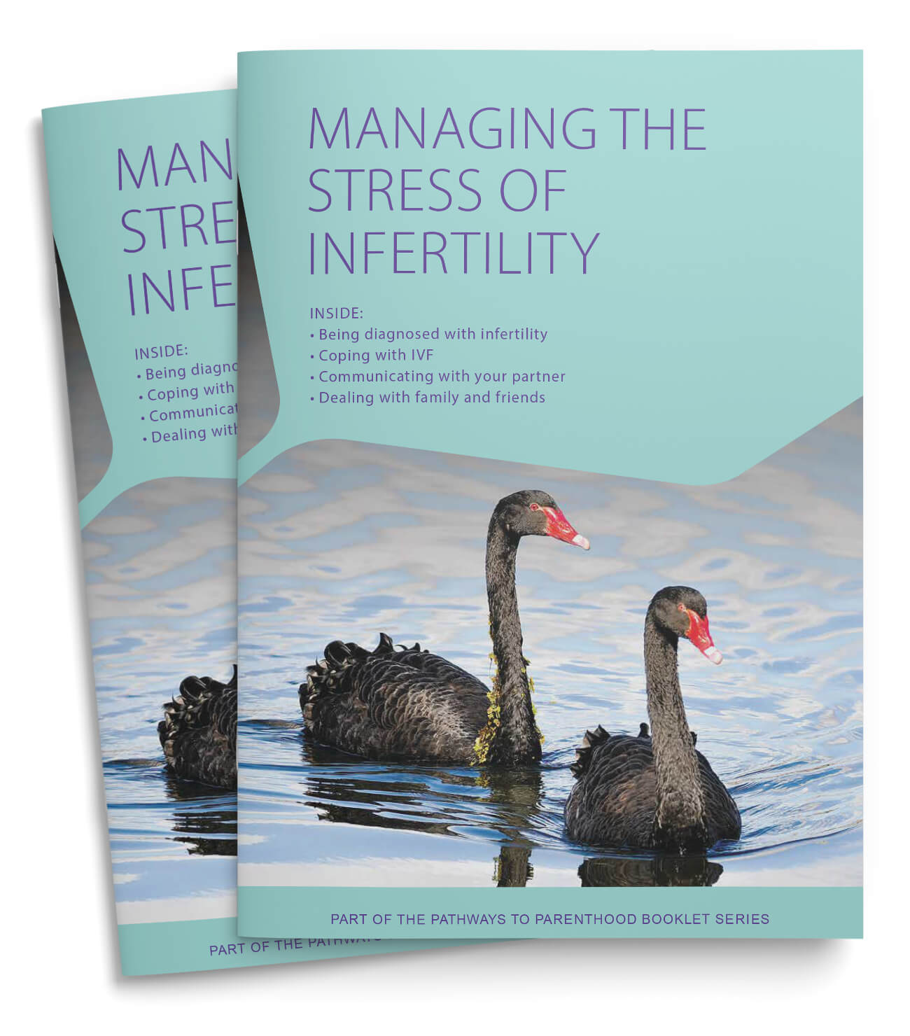 Managing The Stress Of Infertility Dr Victoria Nisenblat